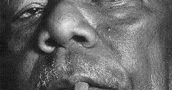 CHAMPION JACK DUPREE REMEMBERED: Seconds out of the ring ...