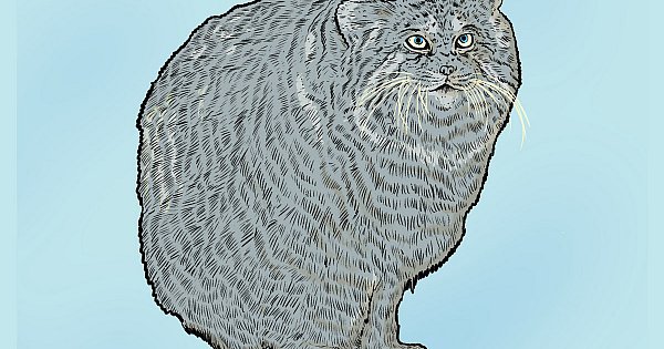 Pipsy: All You Ever Wanted (digital outlets) | Elsewhere by Graham Reid